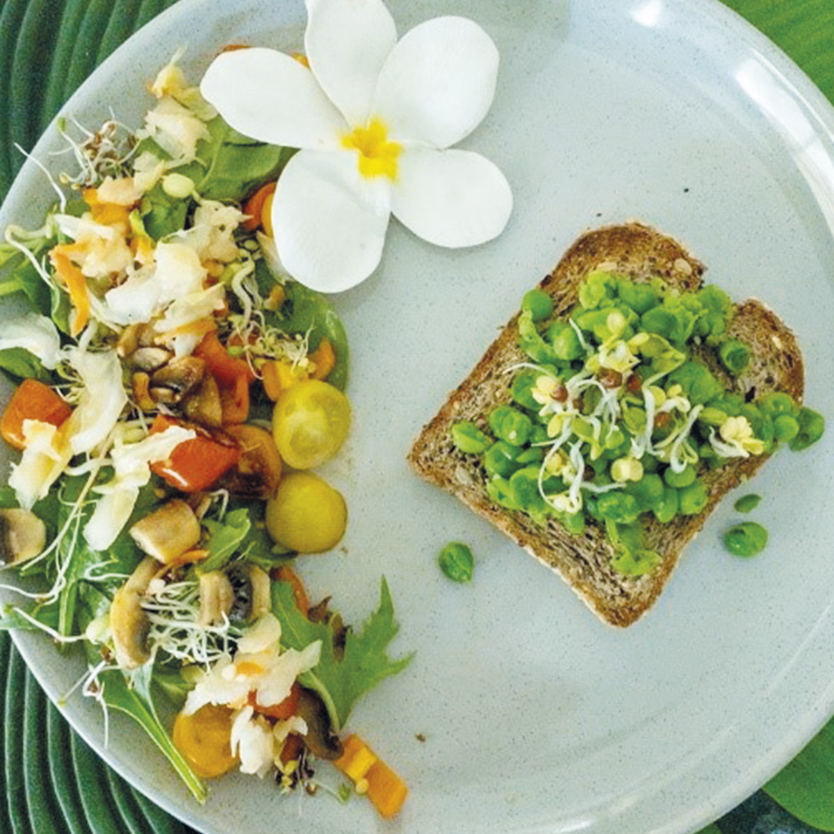Smashed Peas on Toast | Vitamin Sea Collective