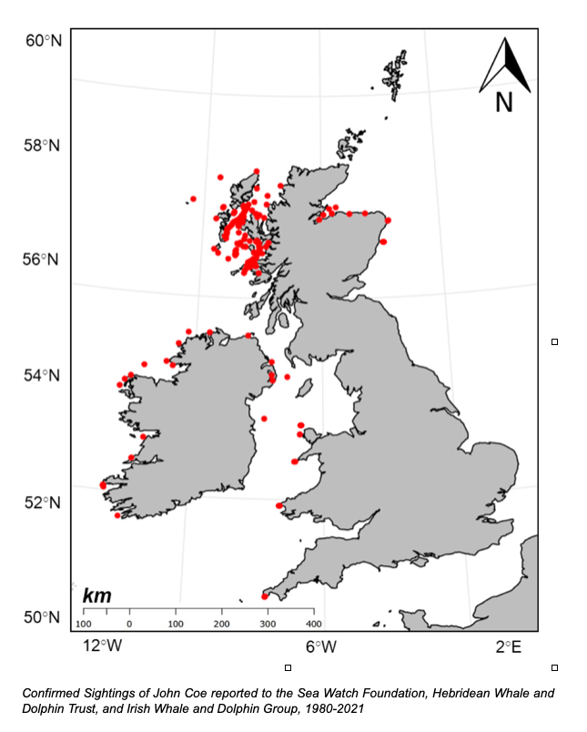 Killer Whales Spotted in Cornwall | Vitamin Sea Collective